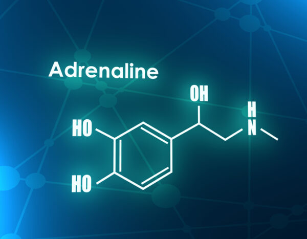 Understanding Adrenaline: The Science of the 'Fight or Flight' Hormone