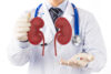 Autoimmune Diseases That Affect the Kidneys: A Comprehensive Guide ...