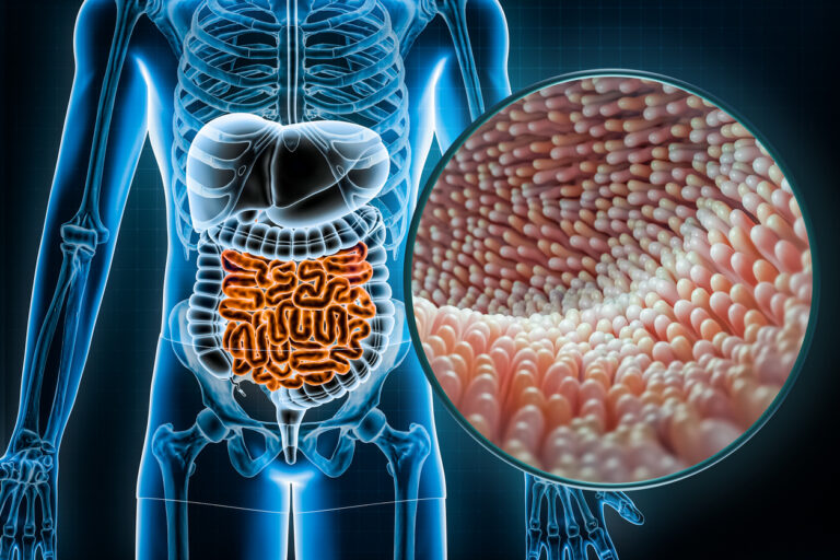 Understanding Autoimmune GI Diseases: Causes & Treatments - Maggie Yu ...